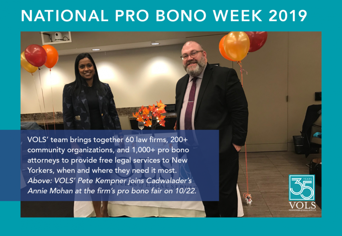 What We Do - VOLS - Volunteers of Legal Service