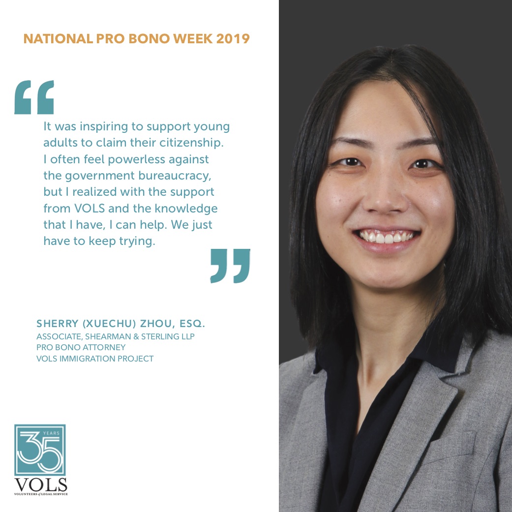 For National Pro Bono Week, VOLS features pro bono legal service in NYC ...
